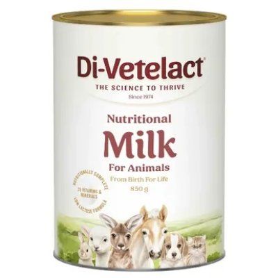 DIVETELACT – League of Pets