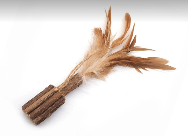 Asiasilvervine Cat Toy Silver Vine Tasty Stick – League of Pets