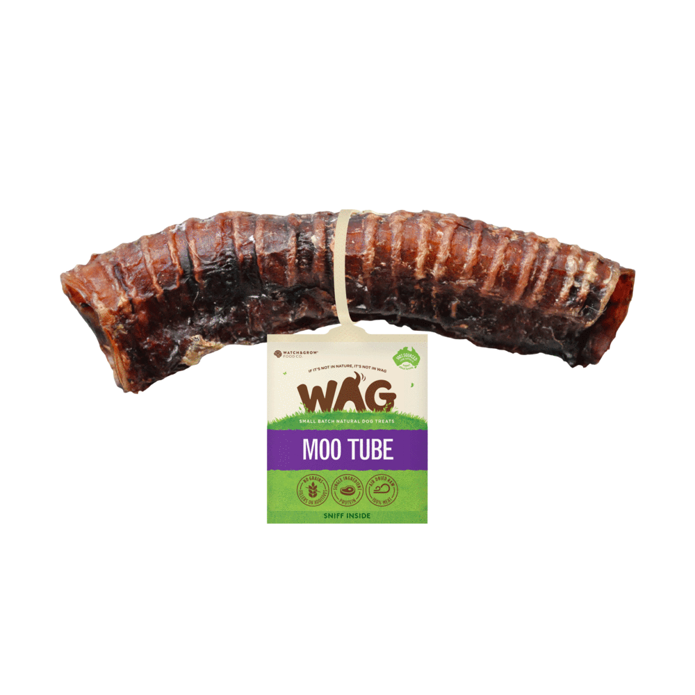 WAG Moo Tubes Occupy Dog Treats – League of Pets