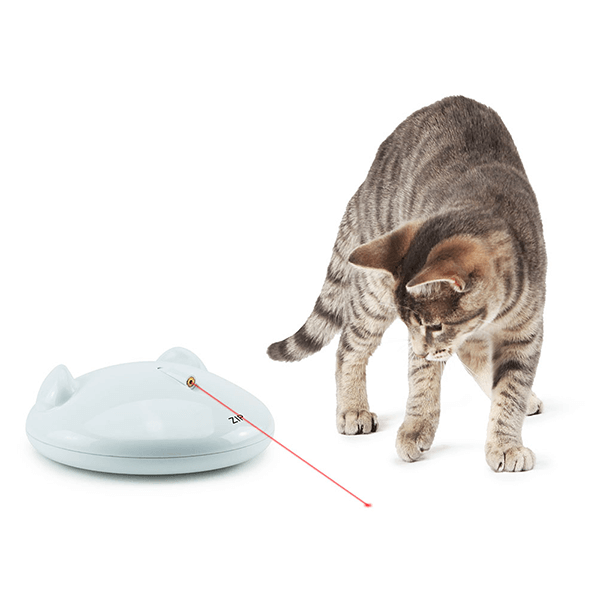 Zip – League of Pets